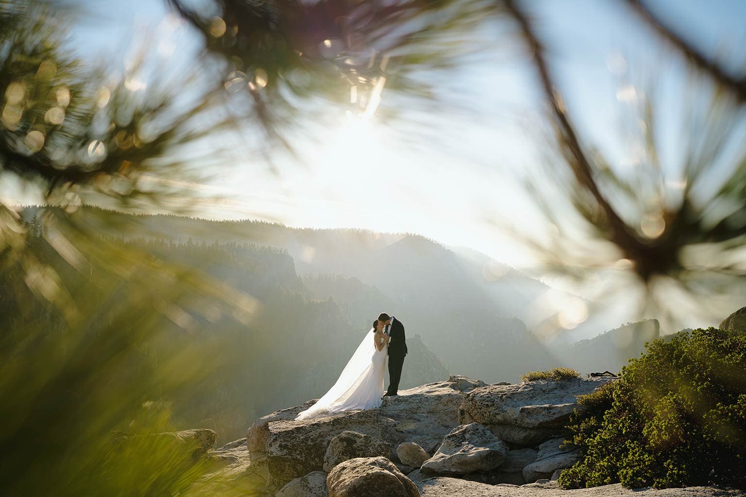 The Ultimate Guide to Elope in Yosemite National Park